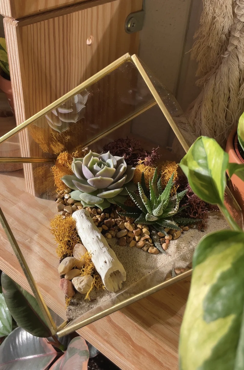 DIY Terrarium Bar — Modern Terrarium Bar