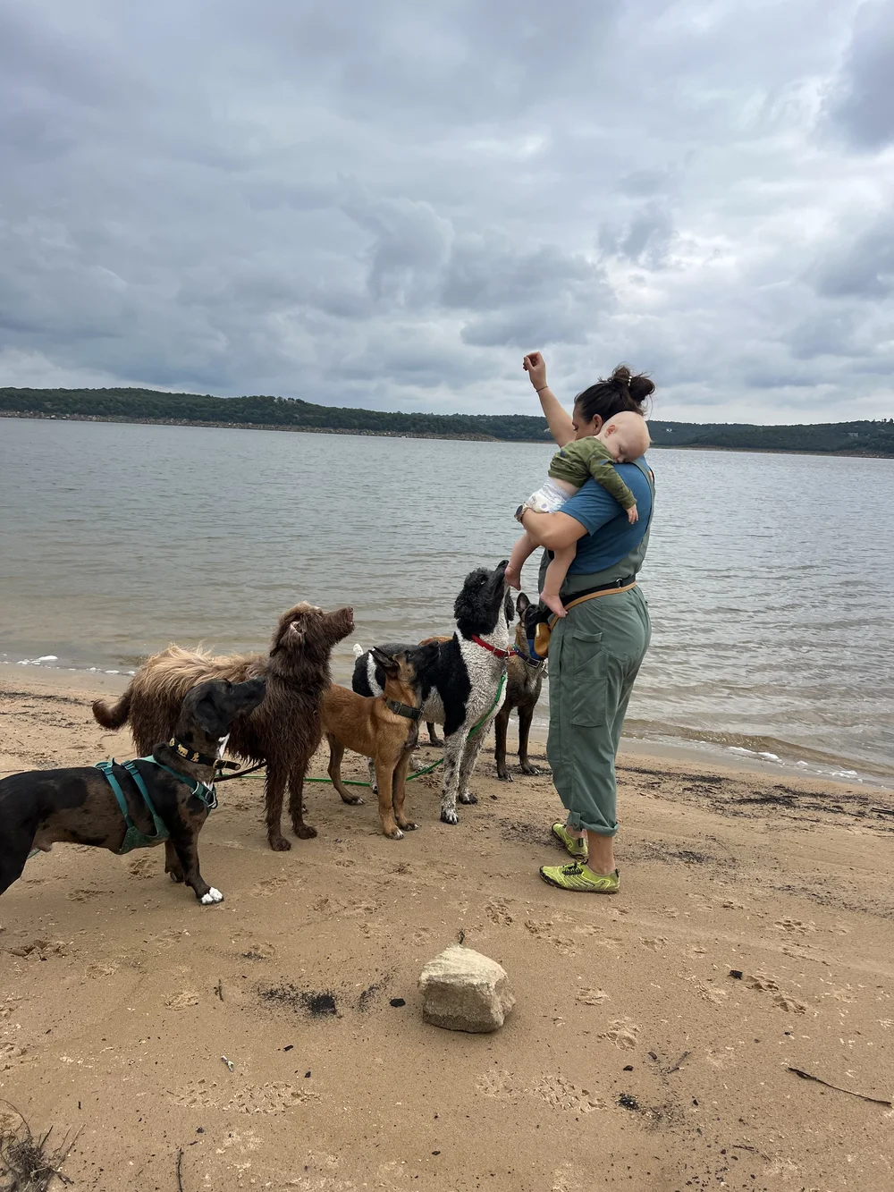 NonStop Dog Tulsa's premier dog training and behavior service