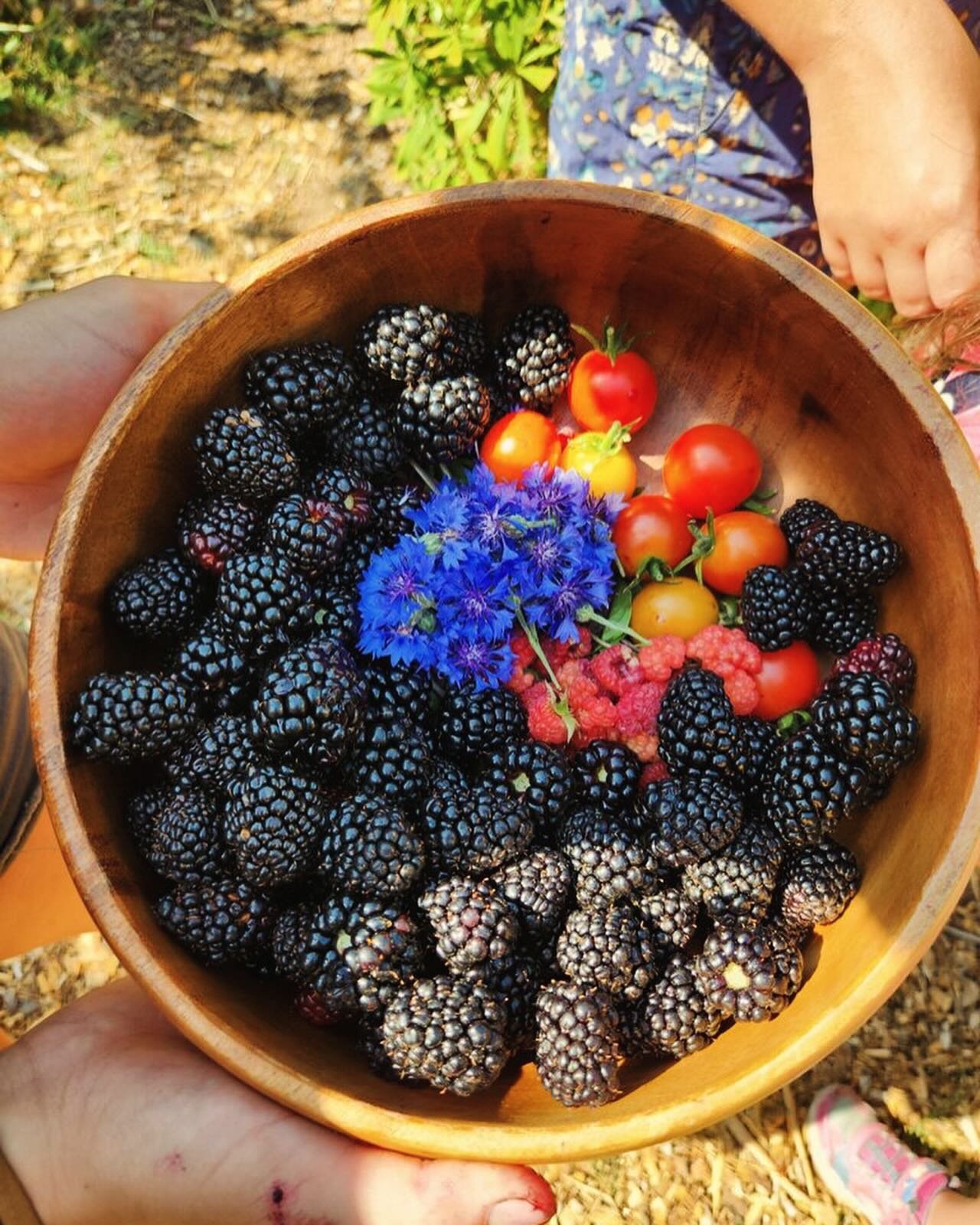 4 Elements Earth Education