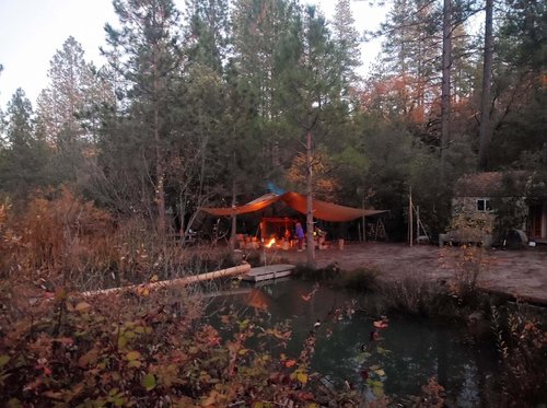 Fox Walkers — 4 Elements Earth Education