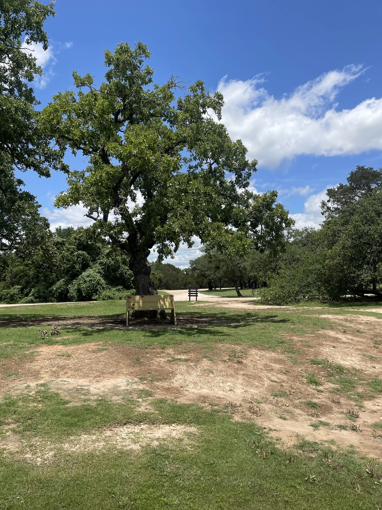 Registration — Camp Haven TX