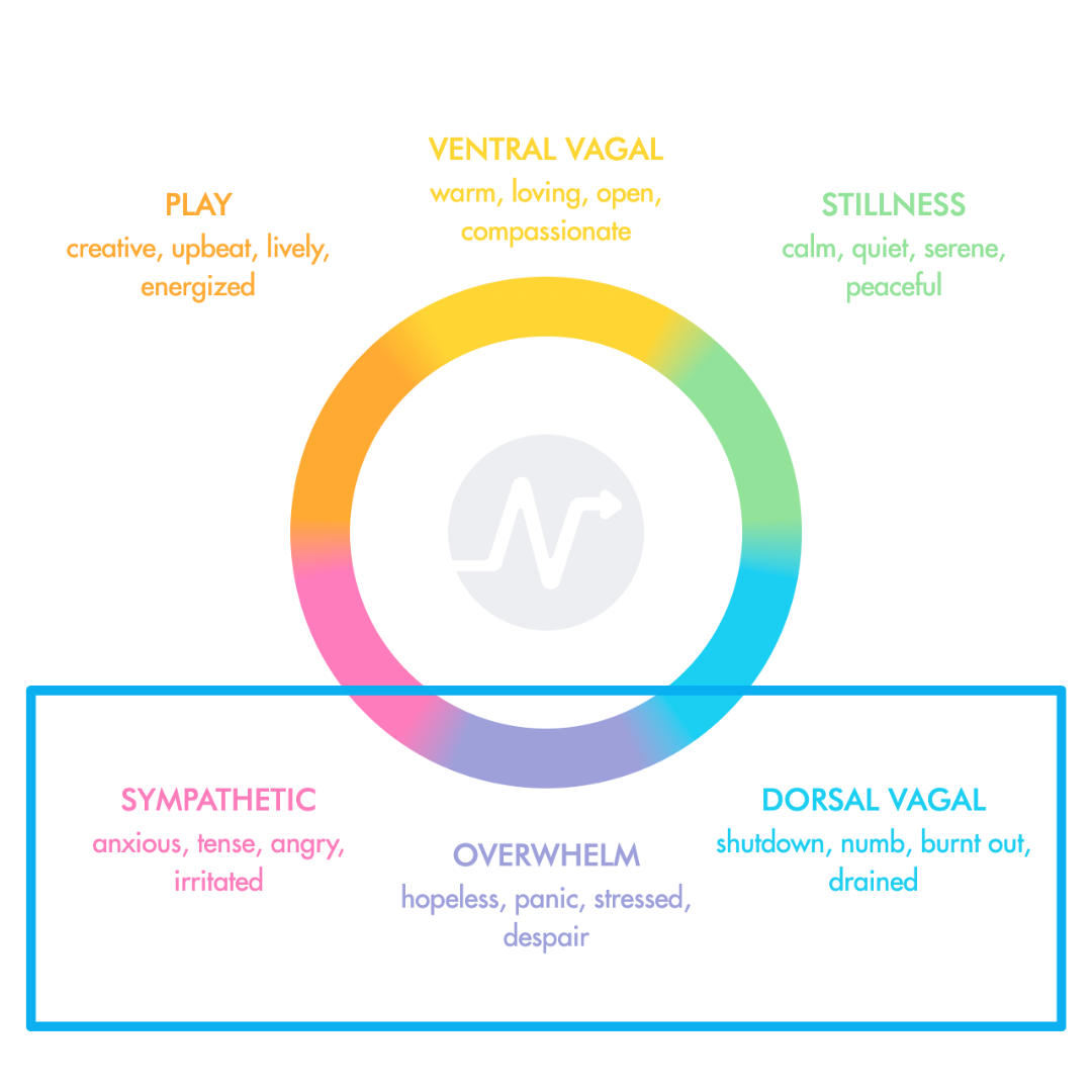 3 Somatic Exercises to Release Anger and Frustration — NEUROFIT