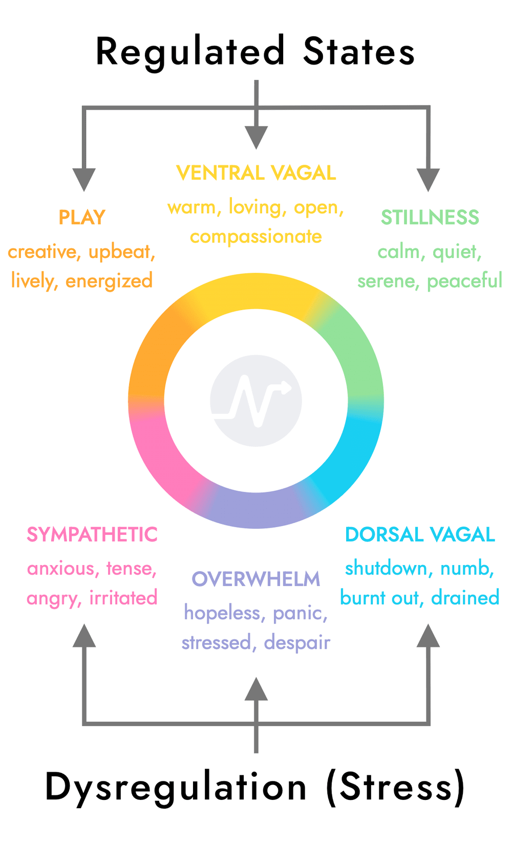 12 Common Questions About NEUROFIT Answered — NEUROFIT