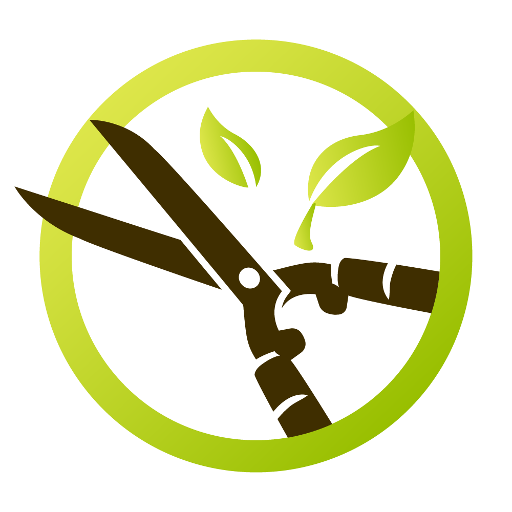 Tree Trimming & Pruning in Omaha — American Arborist