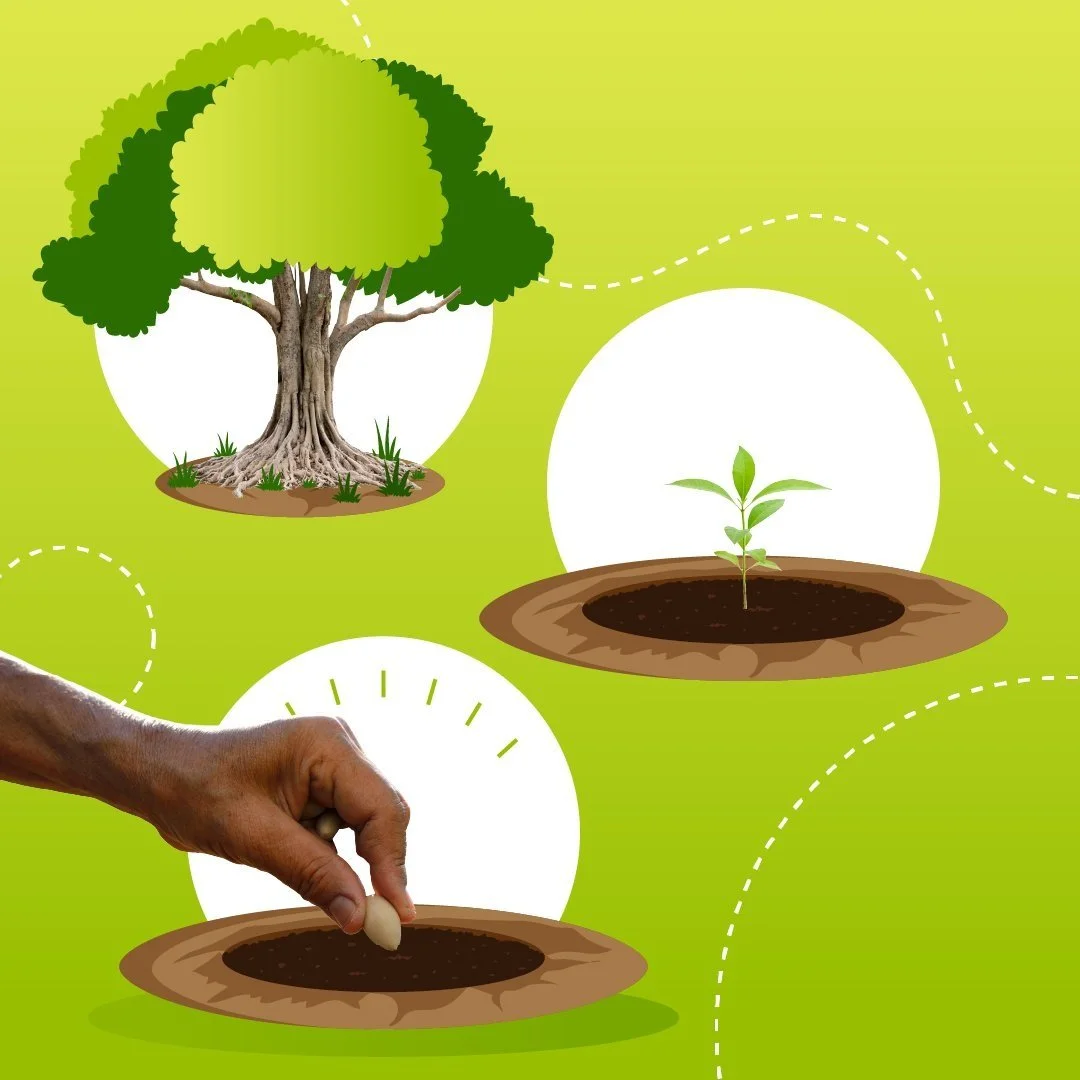 HAPPY Arbor Day! Here’s some facts about it… — American Arborist