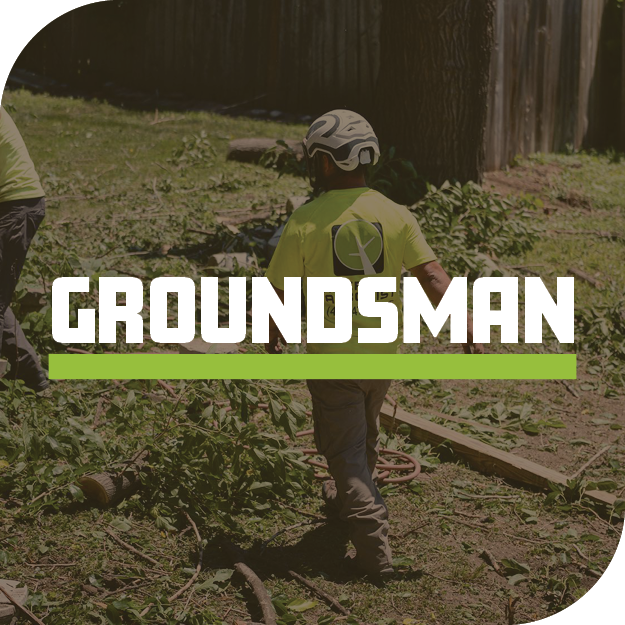 Careers in Tree Care | Join the American Arborist Team — American Arborist