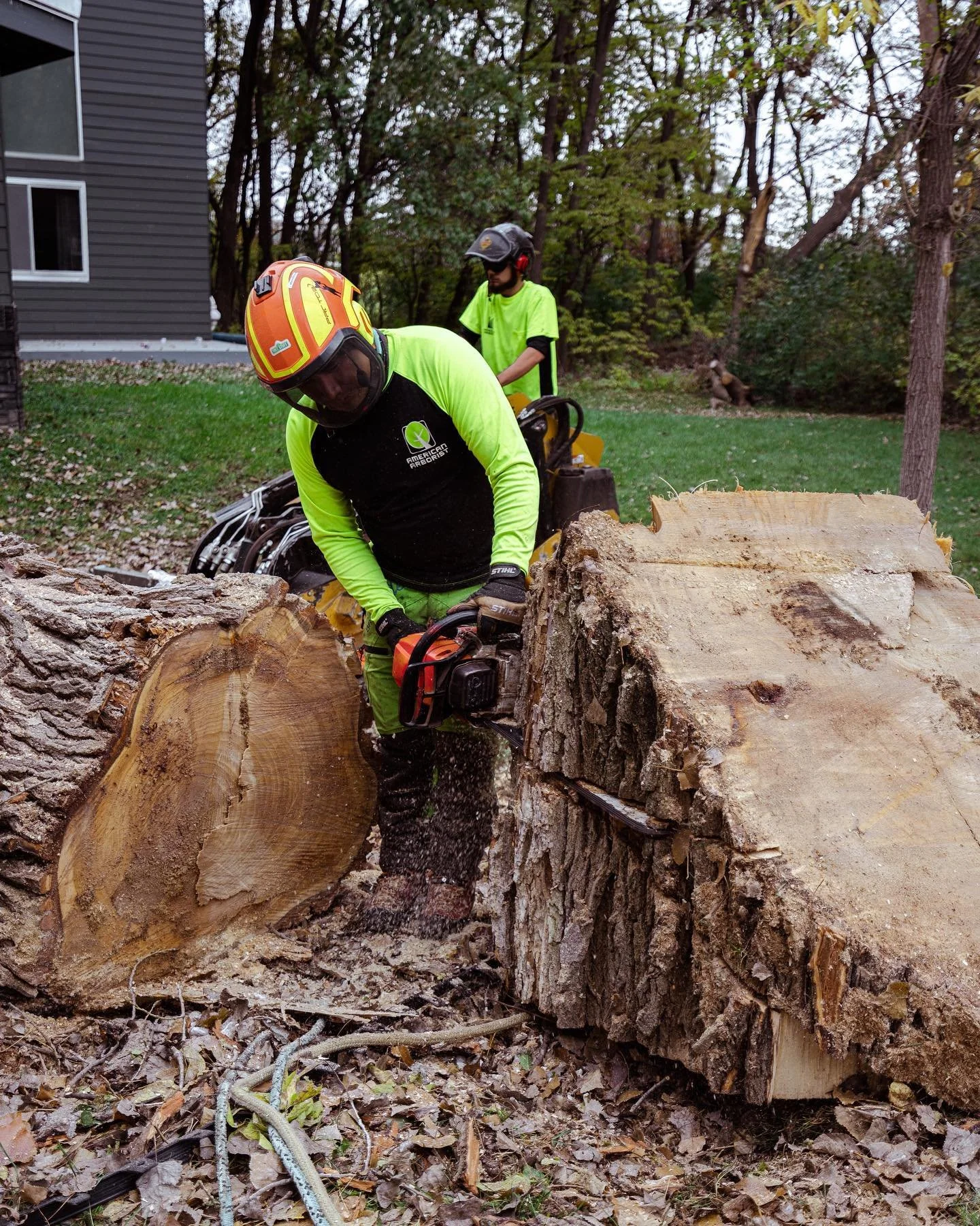 About American Arborist | Omaha Tree Companies — American Arborist