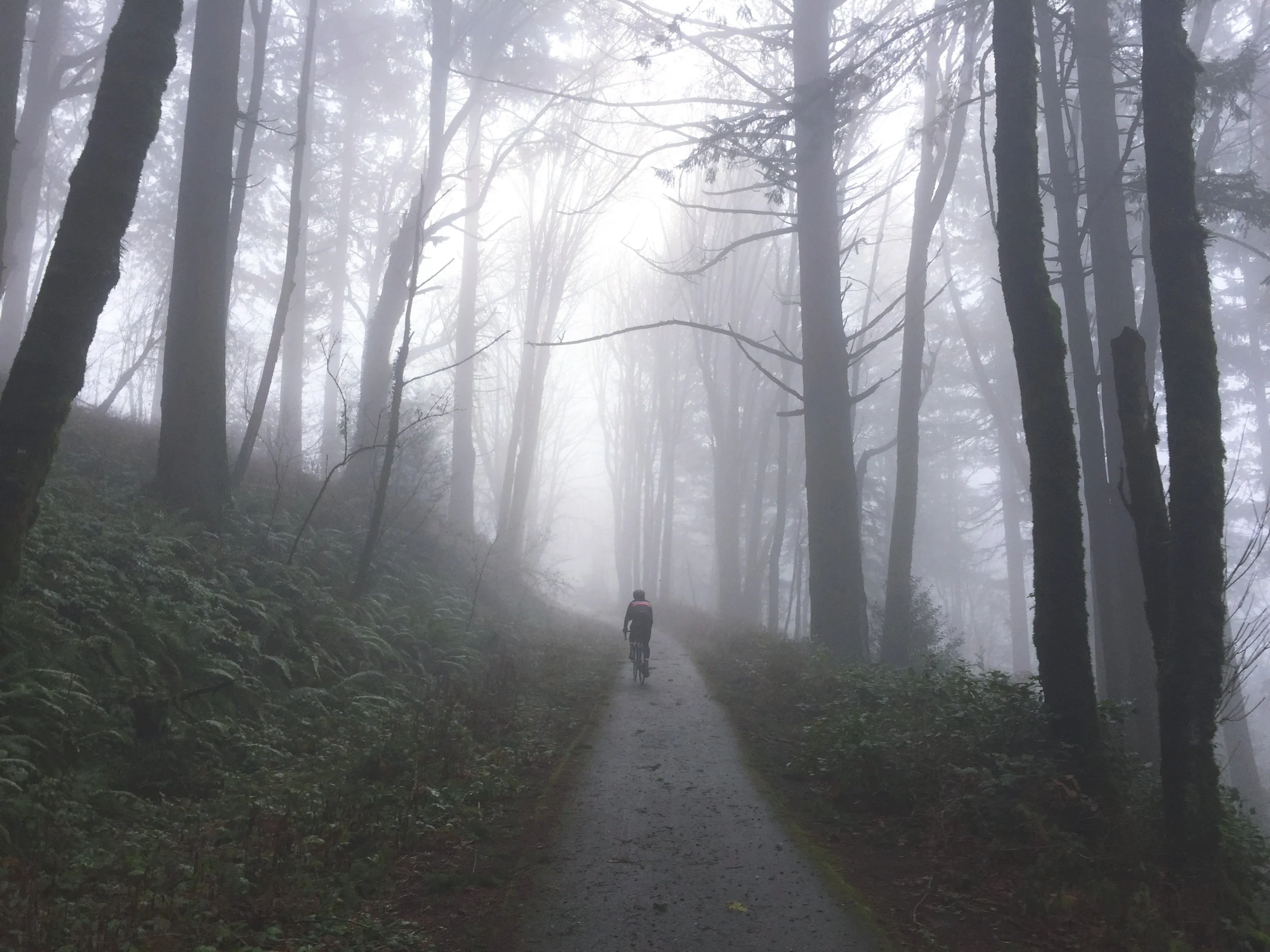 The Paperclip — The Paperclip.cc