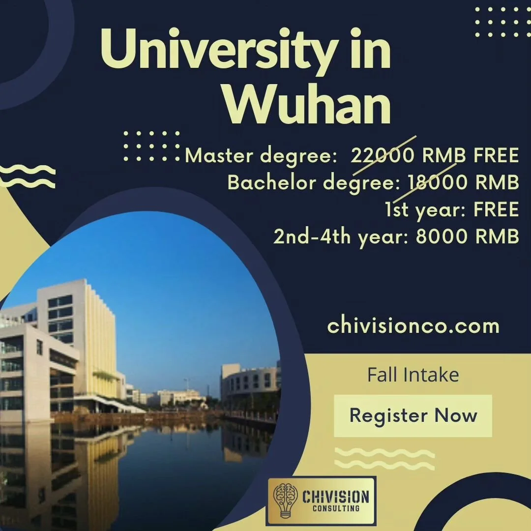 ChiVision Consulting