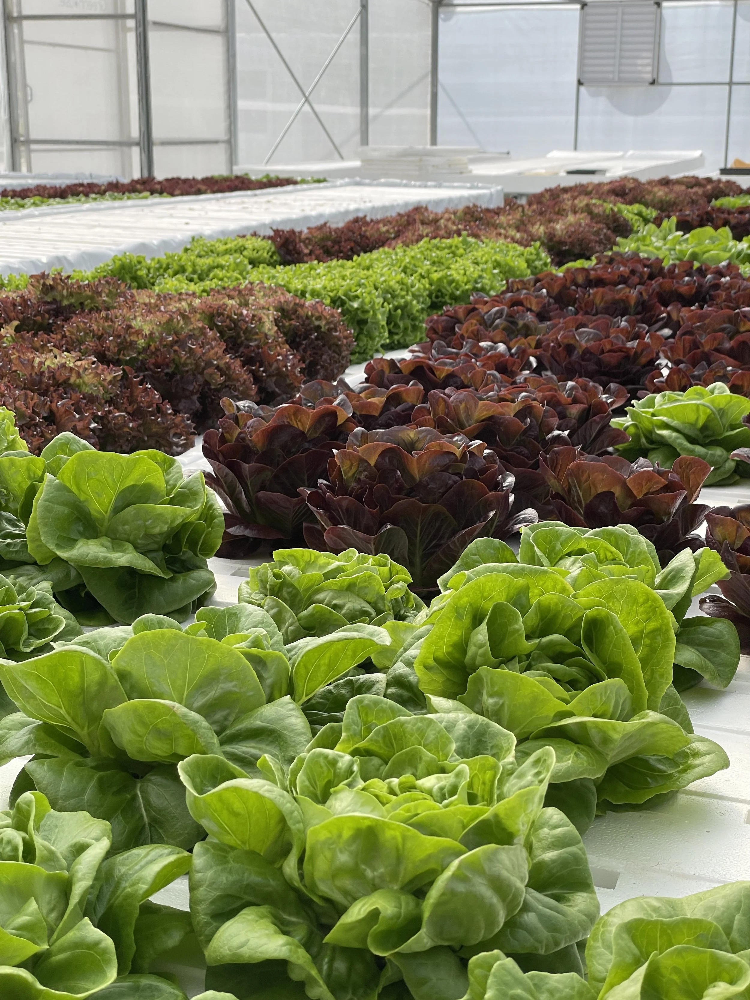 Our Farm — Hydrogro