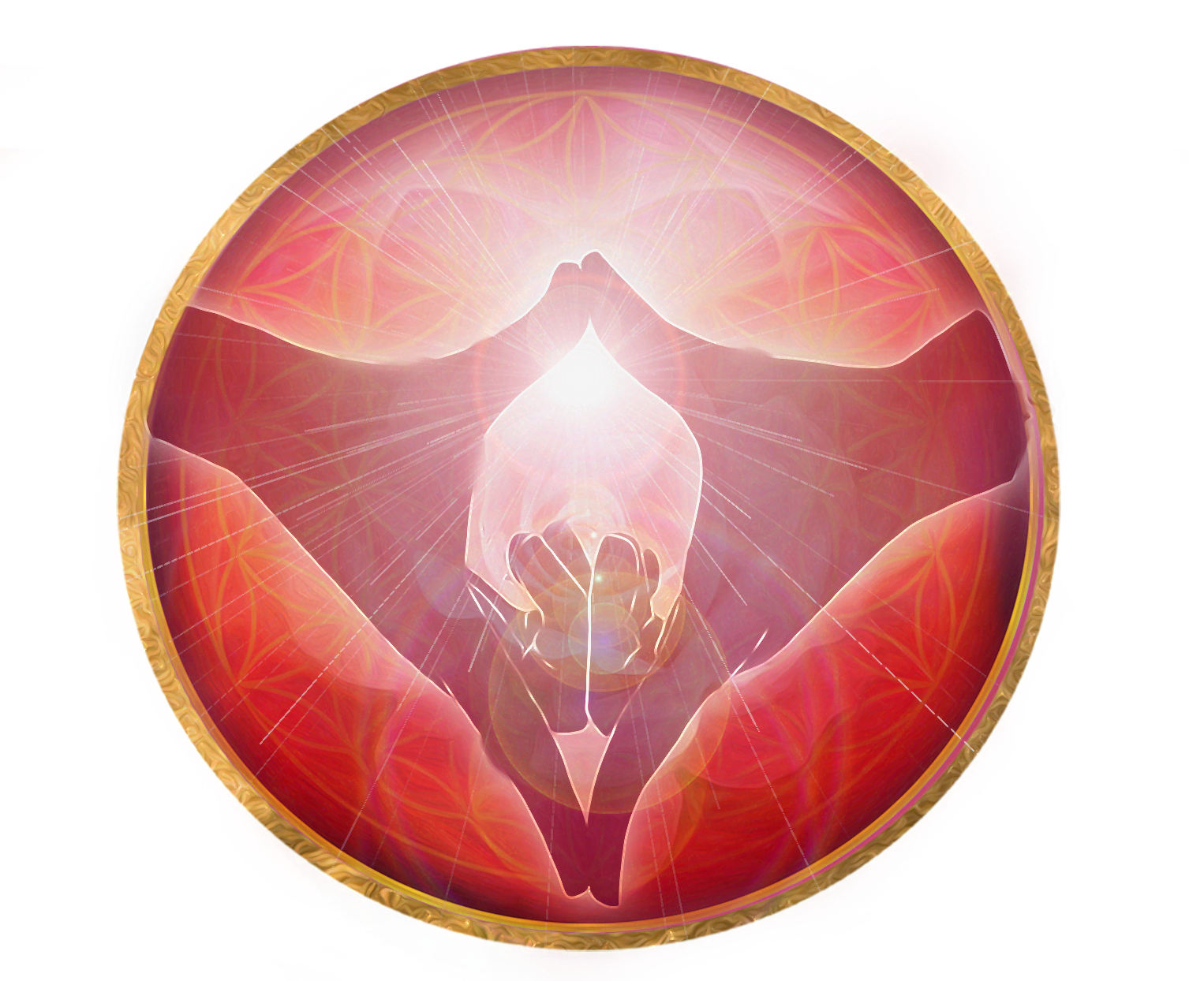 Yoni Massage Holistic Pelvic Health — Womb Devotion