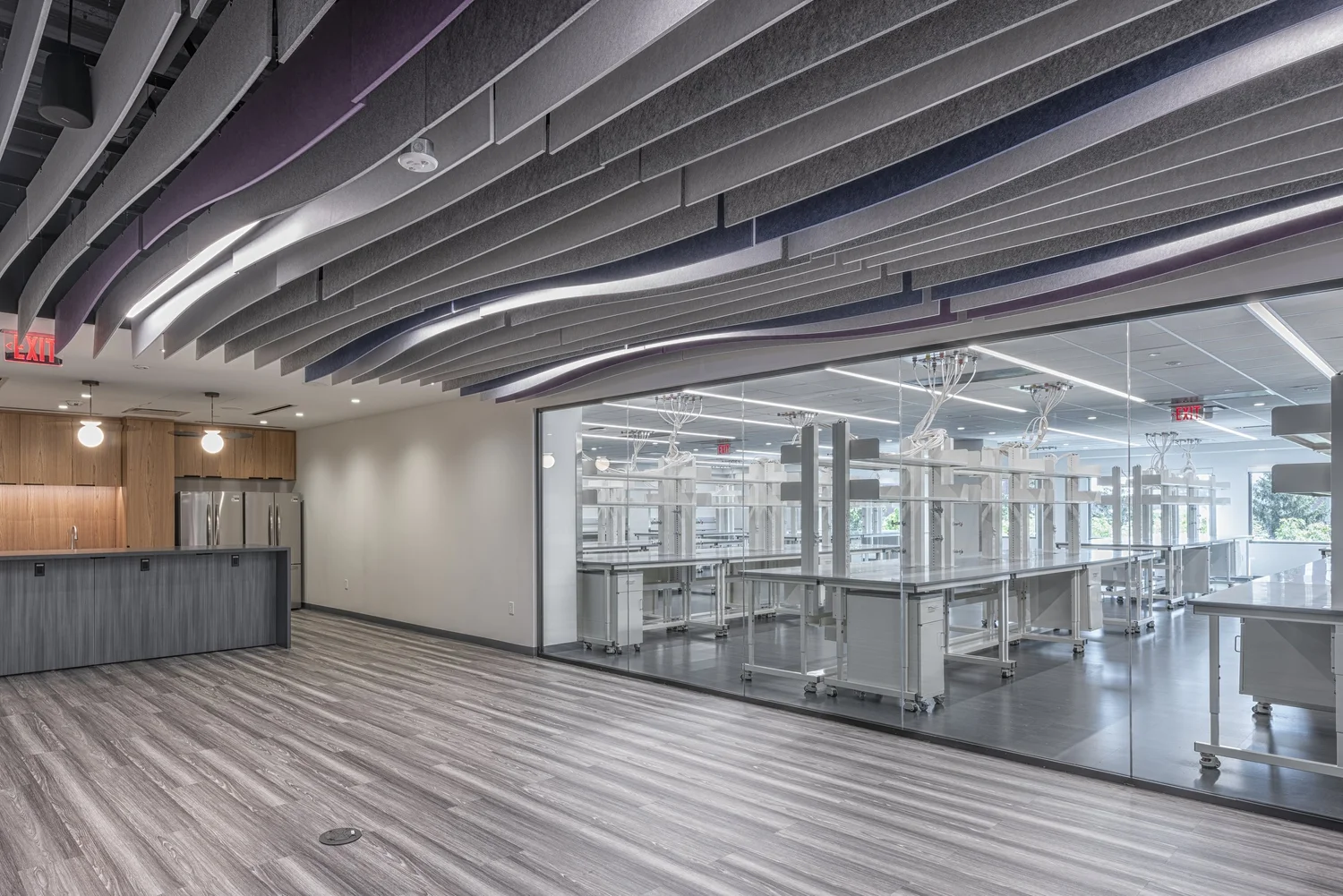 Galleries - Ring Therapeutics — Arch Street Glass