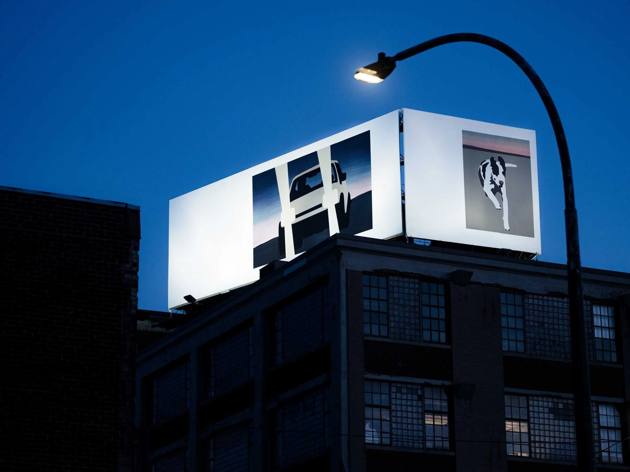 Billboard Art installation — Dan Climan