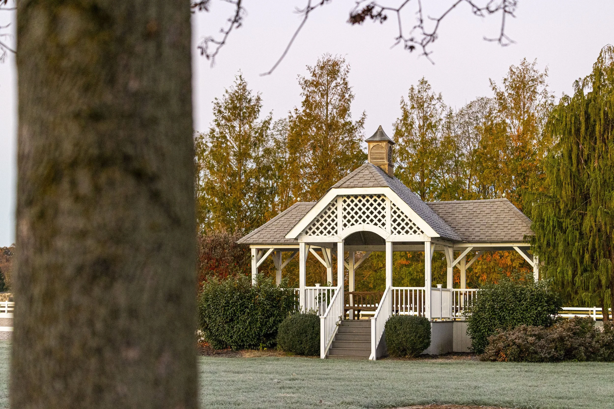 Luxury Equestrian Experience at Synergy Stables | Colts Neck, NJ