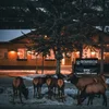 The Bankhead Restaurant & Lounge - Canmore - Sherwood Park