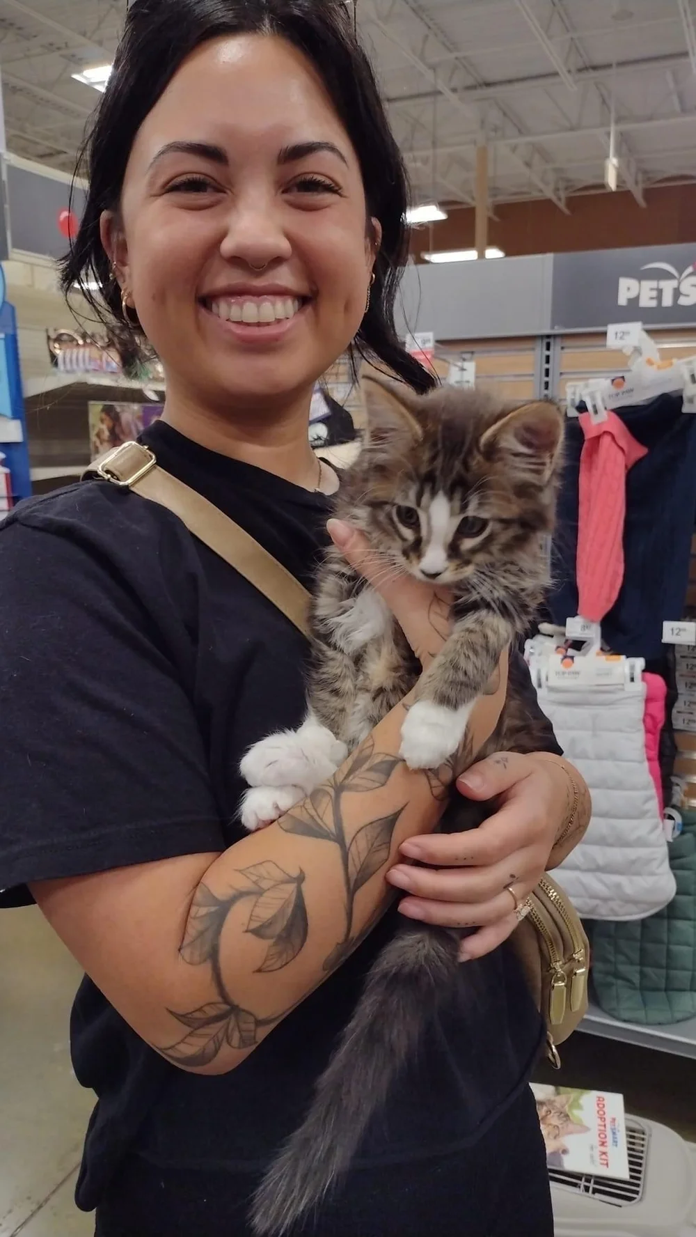 Our Adoption Process — Stray Animal Adoption Program