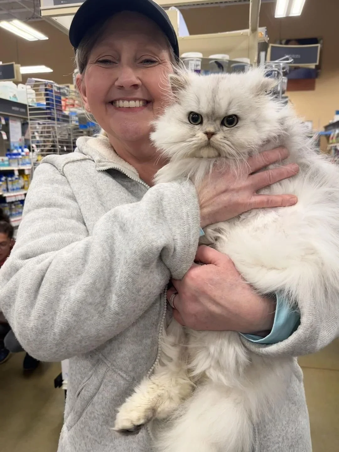 Our Adoption Process — Stray Animal Adoption Program