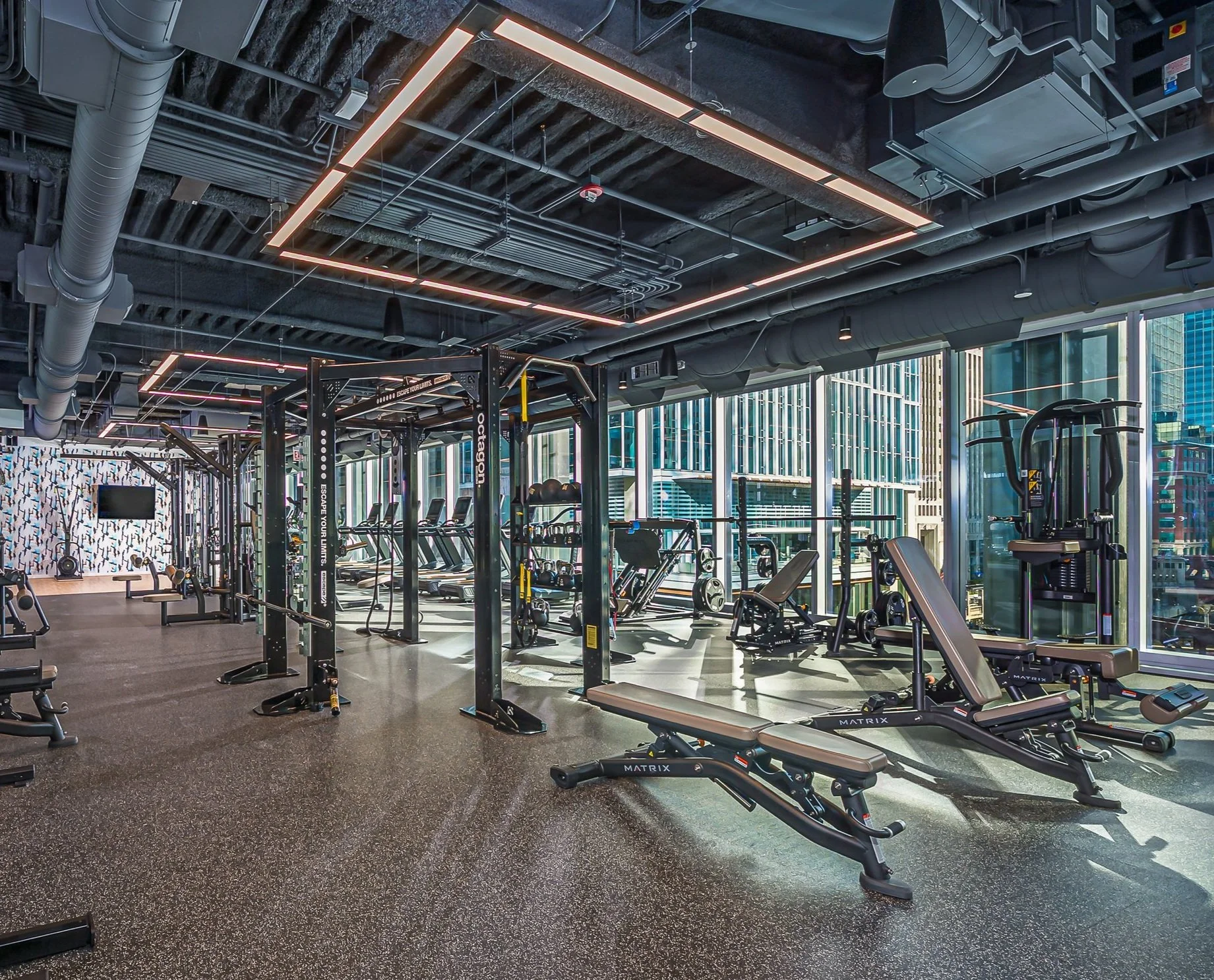 The Fitness Connection