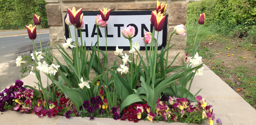 Halton Gardening Group