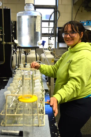 Kline's Island Sewer System