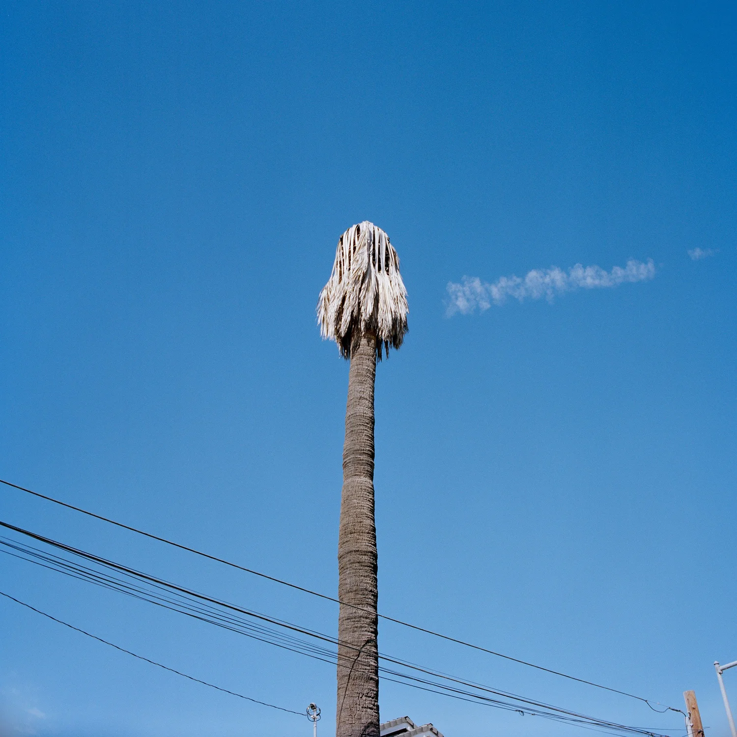 Photographer | Maria Nikolis