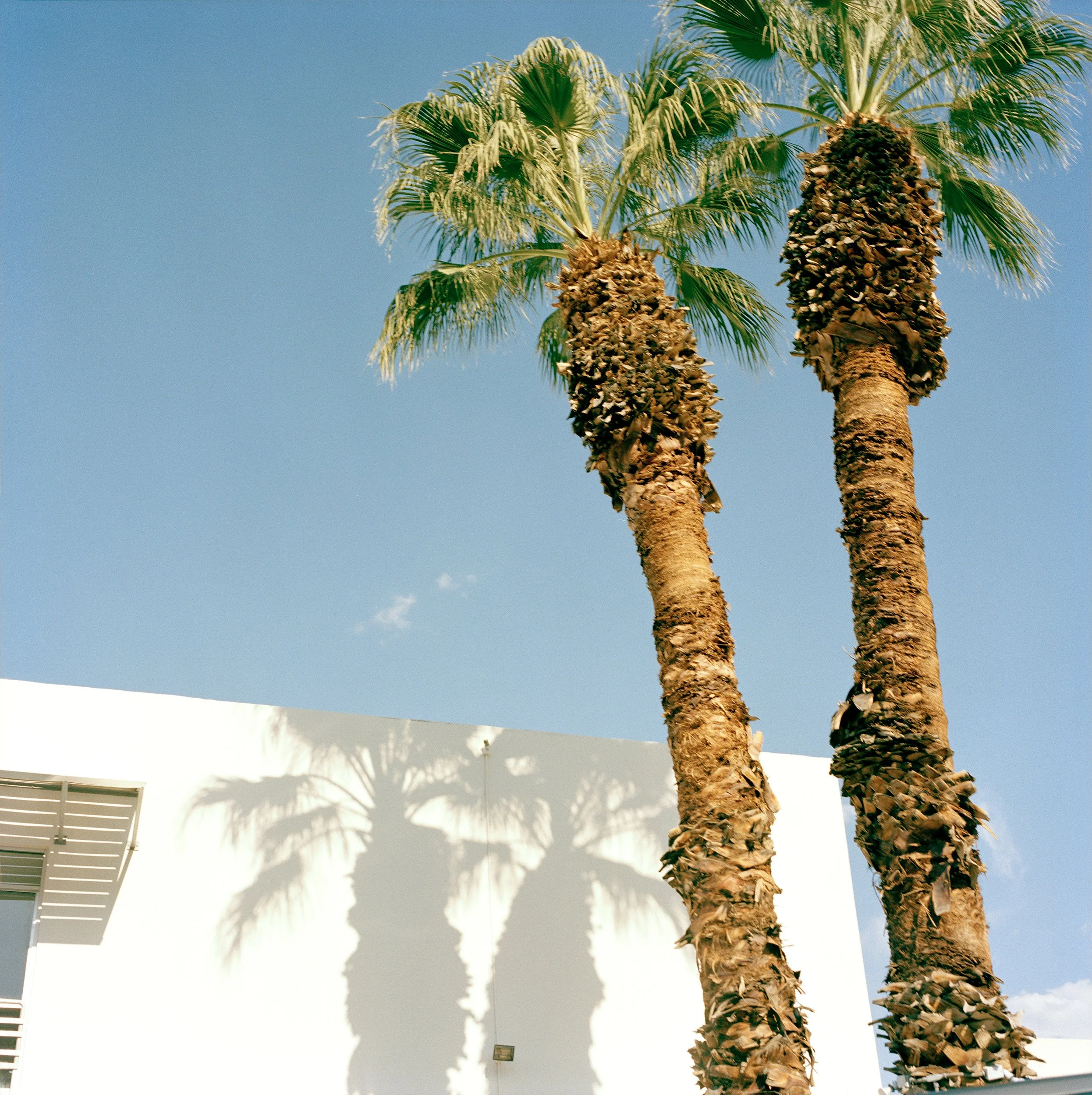 Photographer | Maria Nikolis