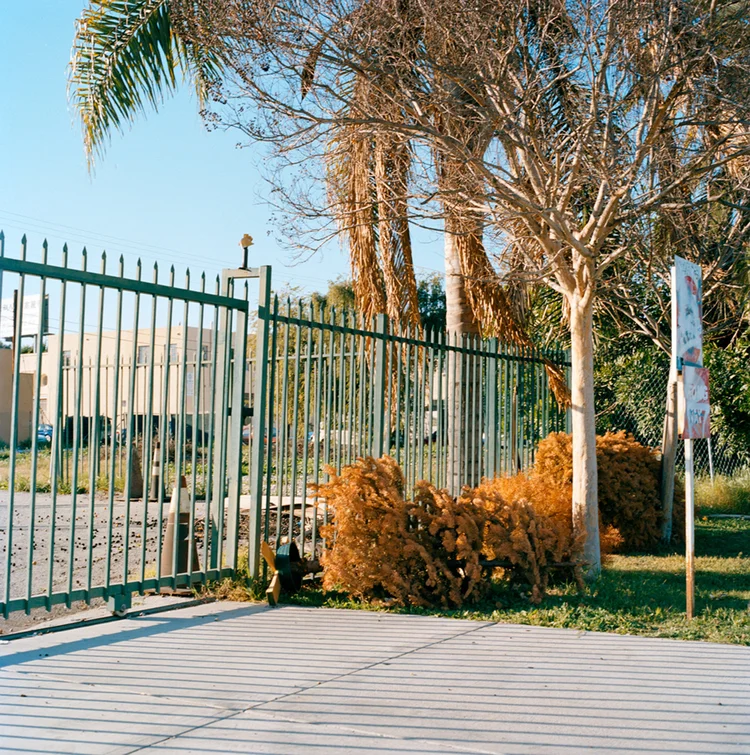 Photographer | Maria Nikolis