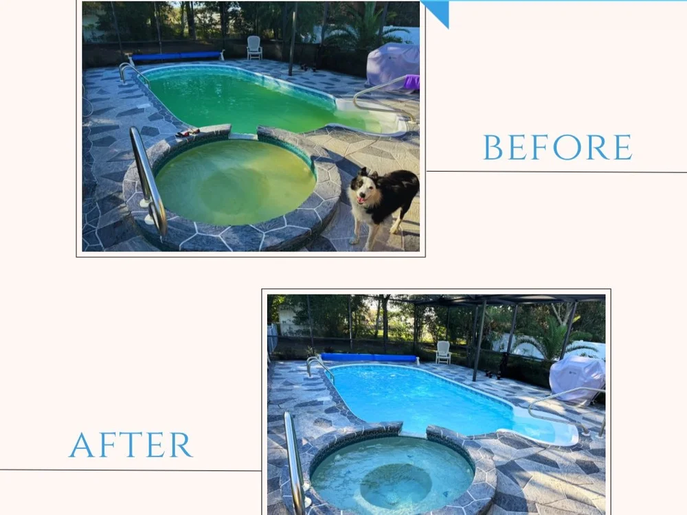 FL Native Pool Service