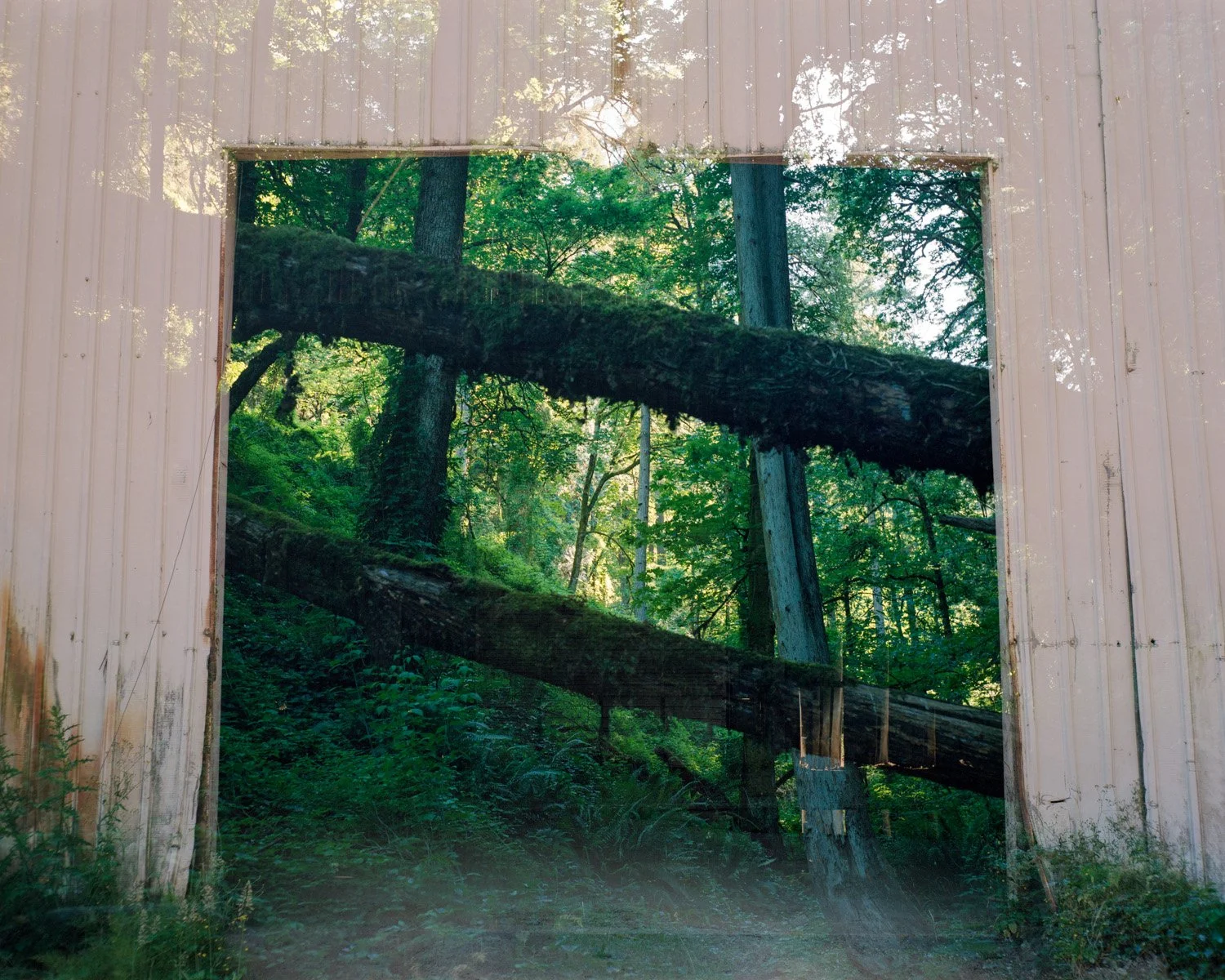 Somewhere in Another Place — Studio Mike Vos
