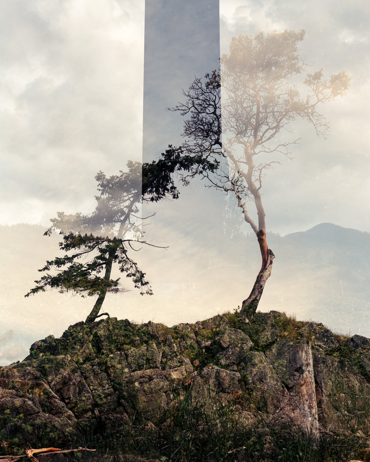 Somewhere in Another Place — Studio Mike Vos