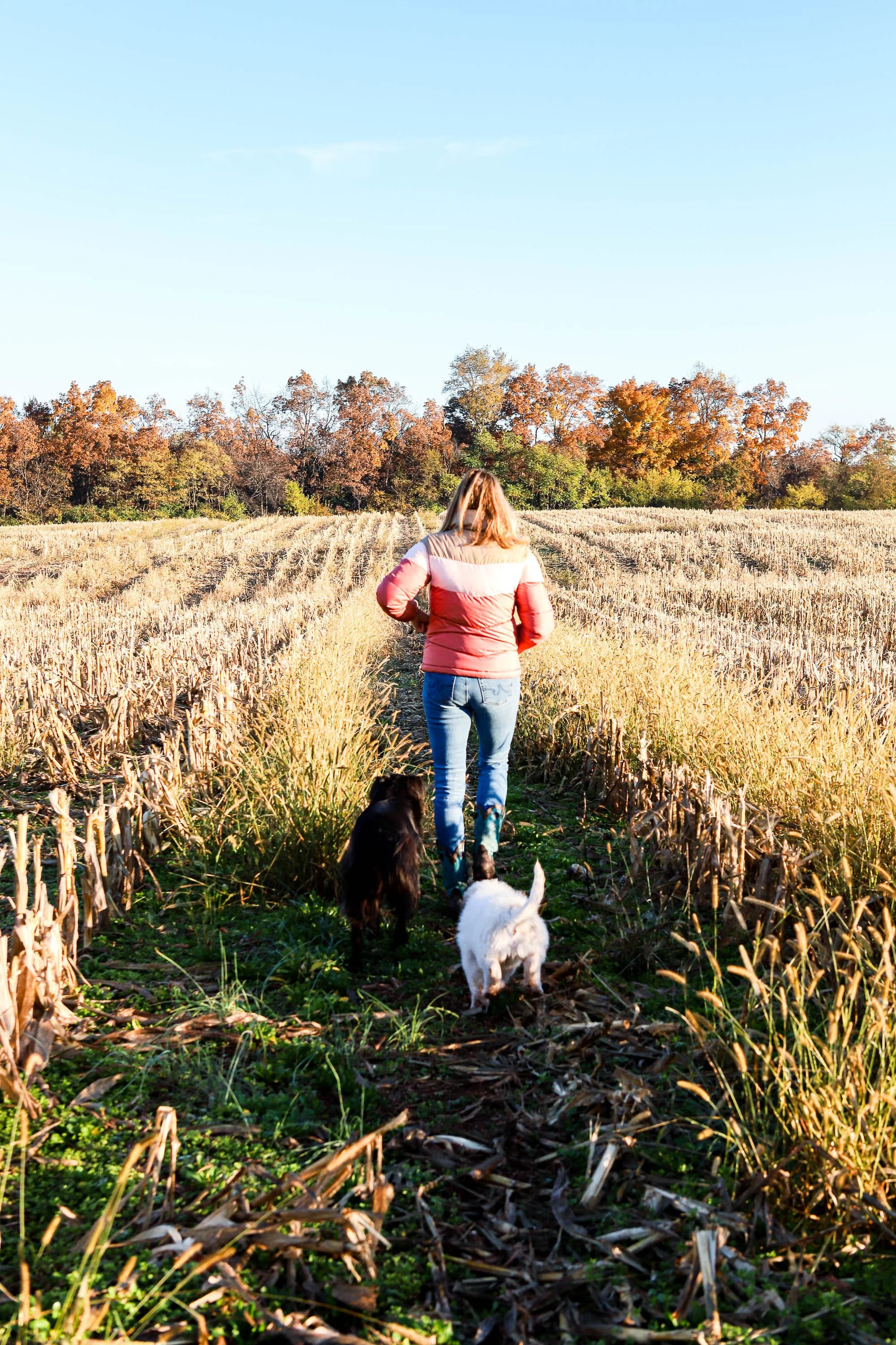 Why Farm Life? — Gettysburg Farmstead