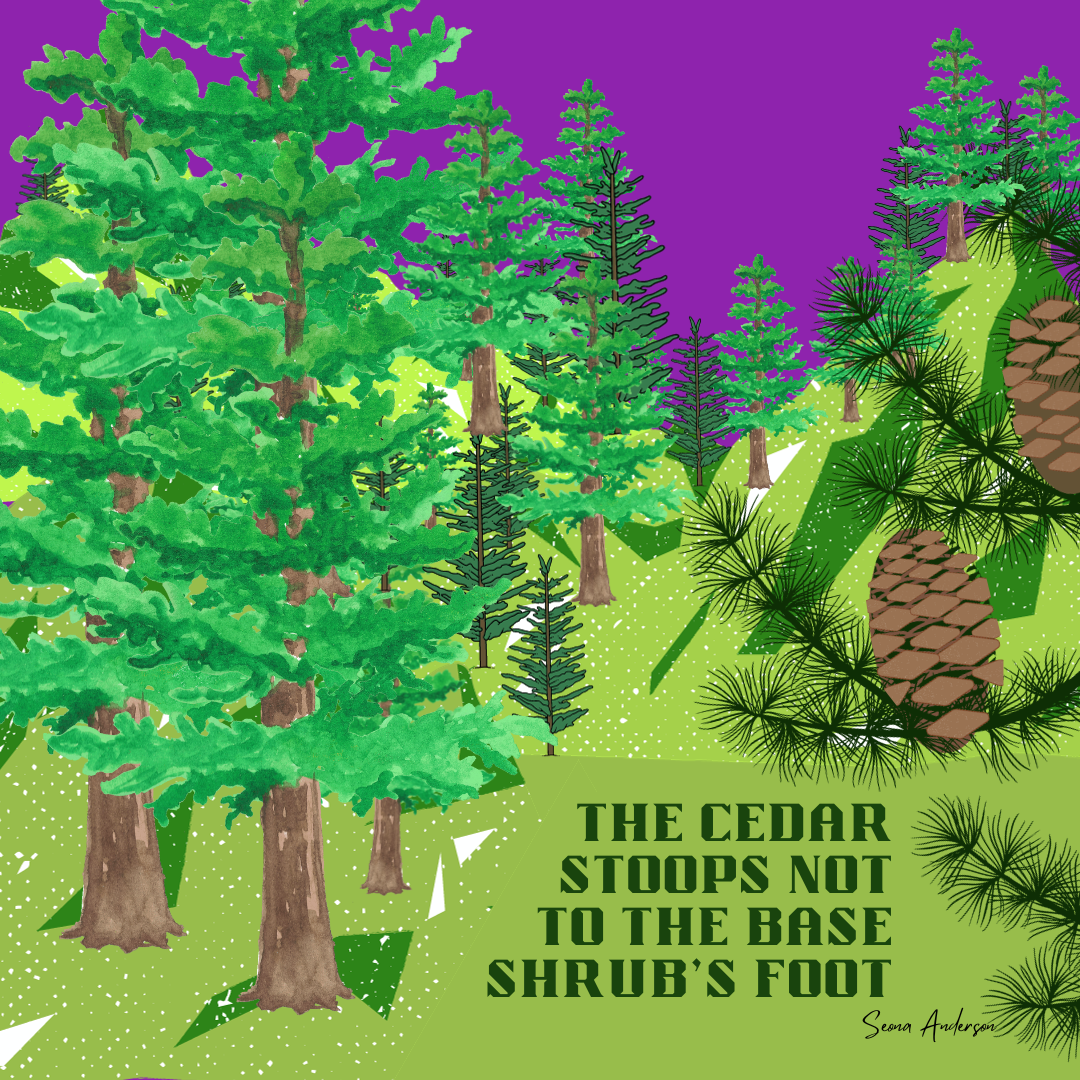 Tree Top Trumps: Cedar, Oak, Elder — The Nature of Shakespeare