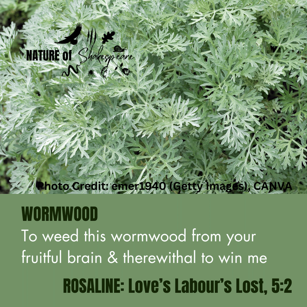WORMWOOD — The Nature of Shakespeare