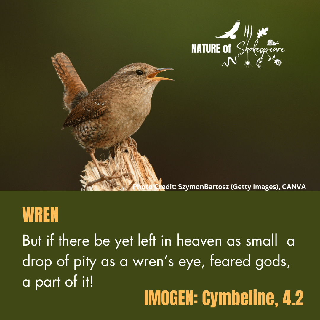 WREN — The Nature of Shakespeare