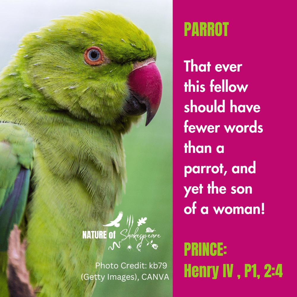 PARROT — The Nature of Shakespeare