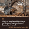 RAT — The Nature of Shakespeare