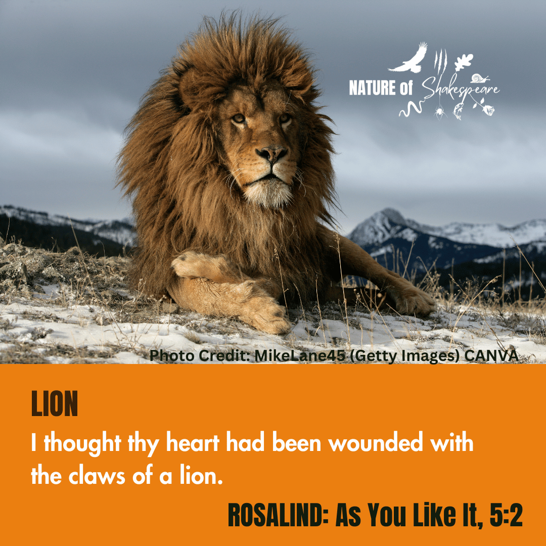 LION — The Nature of Shakespeare