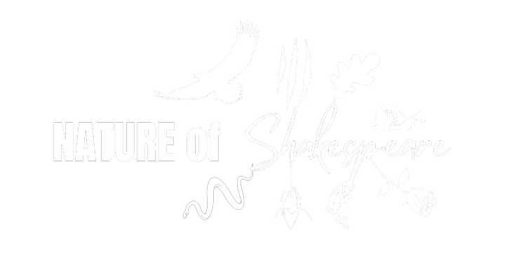 MAGPIE — The Nature of Shakespeare