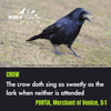 CROW — The Nature of Shakespeare