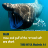 SHARK — The Nature of Shakespeare