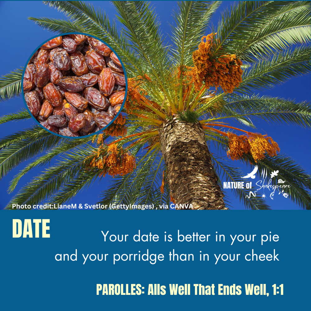 DATES — The Nature of Shakespeare