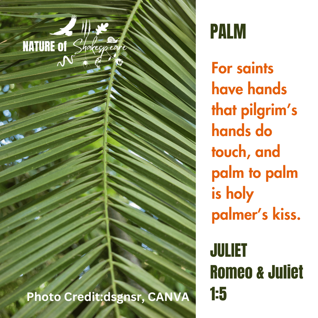 PALM — The Nature of Shakespeare