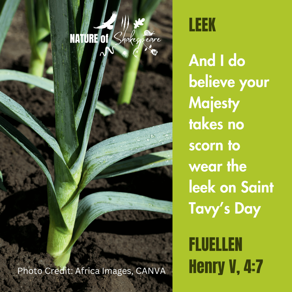 LEEK — The Nature of Shakespeare