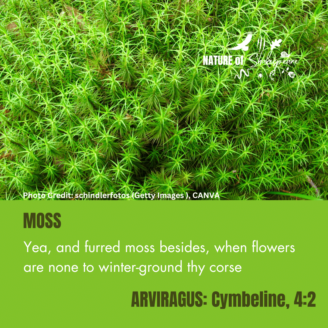 MOSS — The Nature of Shakespeare