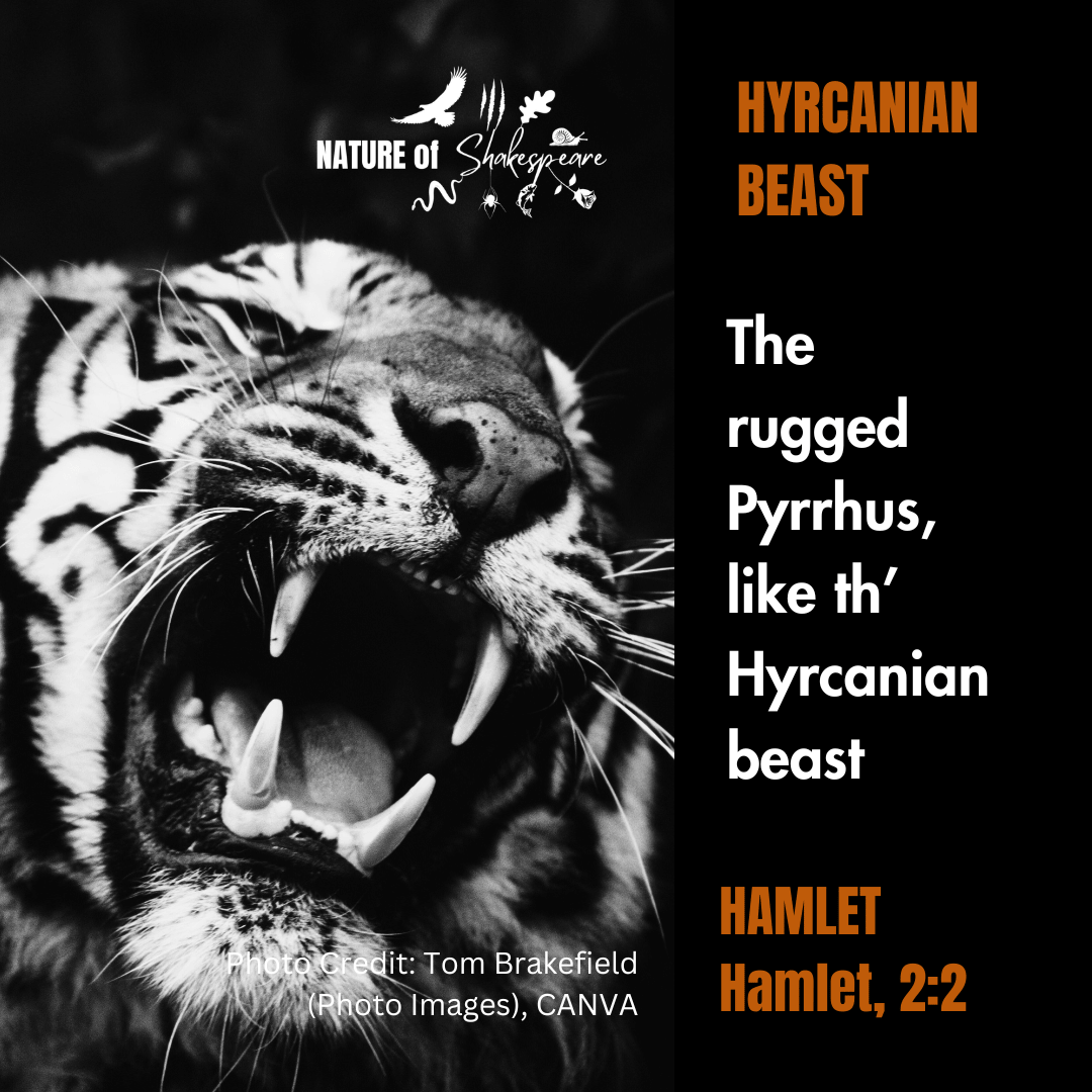 Hyrcanian Beast — The Nature of Shakespeare