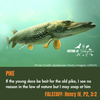 PIKE — The Nature of Shakespeare