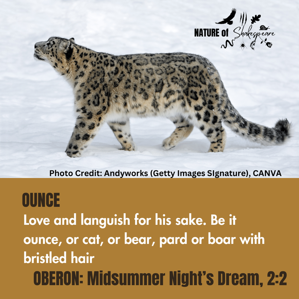OUNCE — The Nature of Shakespeare