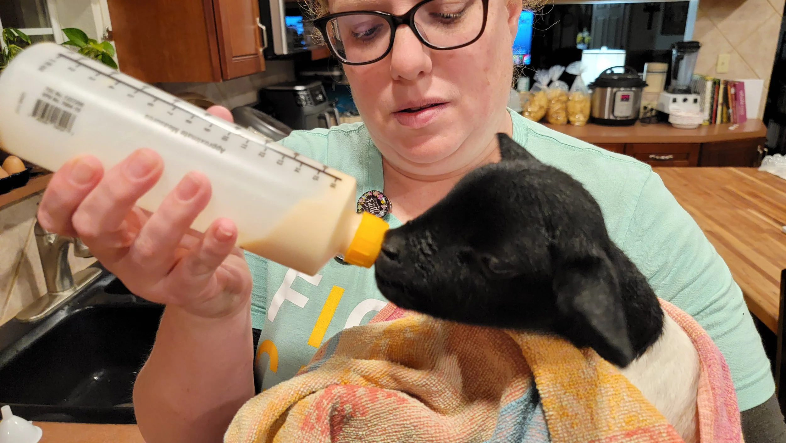 About | Family Owned & Operated | Premium Local Meat Farmers — Double-D ...