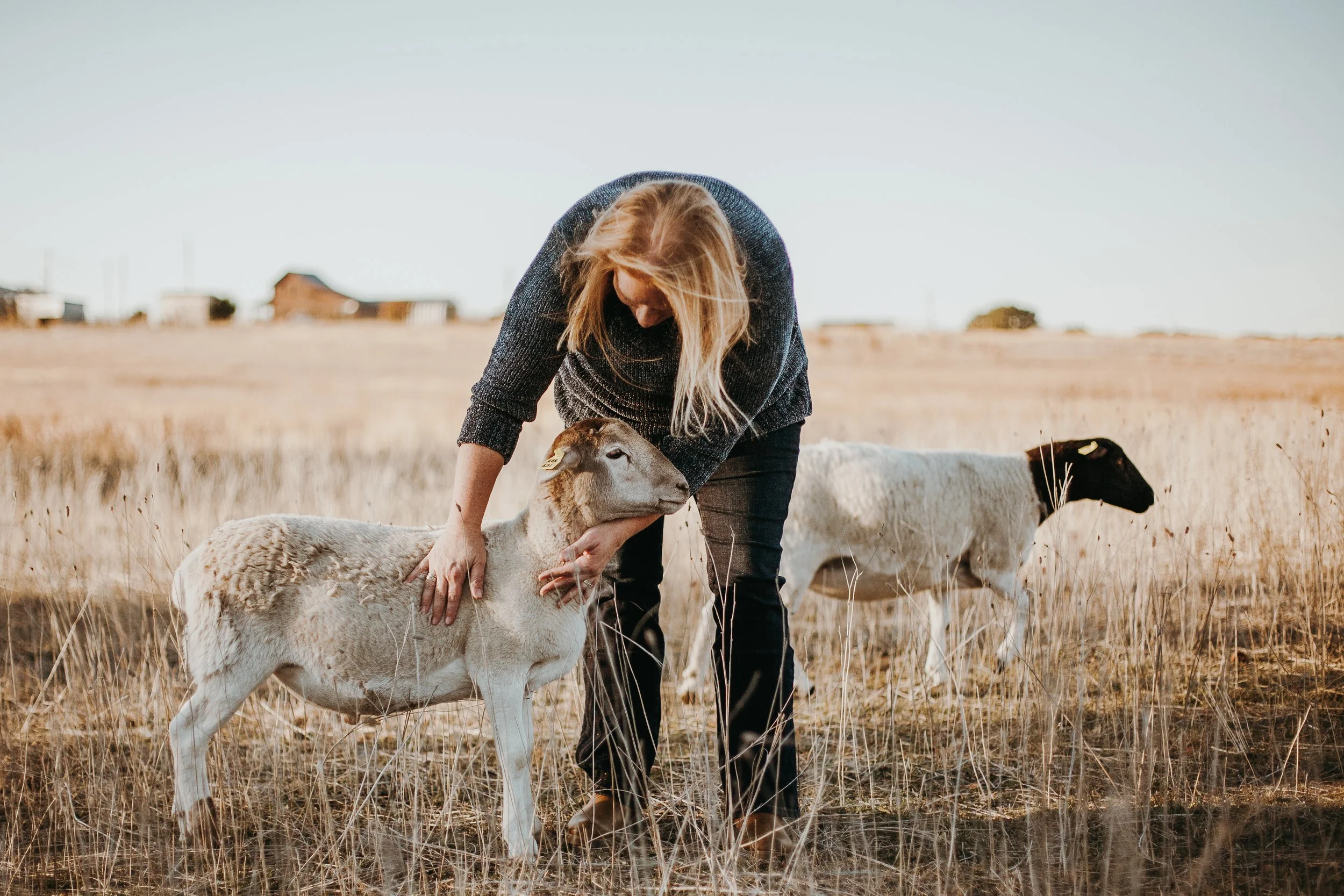 About | Family Owned & Operated | Premium Local Meat Farmers — Double-D ...