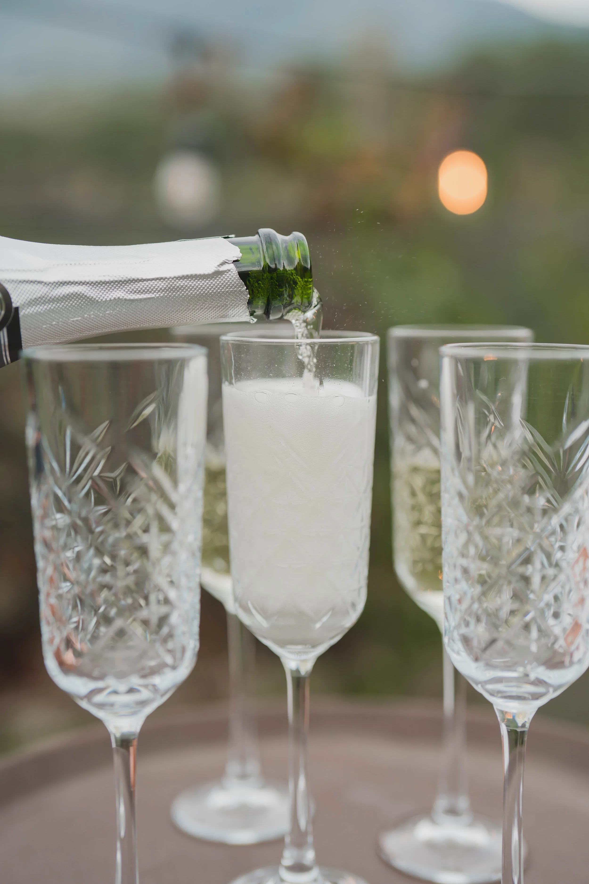 Nuestro Vino — Bodega Terra Serena